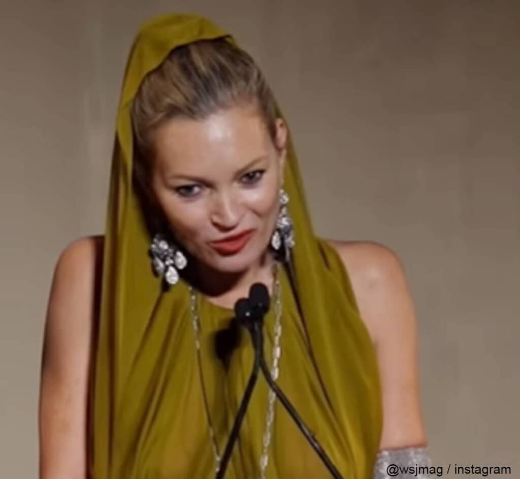 荒い呼吸に言葉につまる場面も… モデルのケイト・モス、式典での異常な行動に心配の声！ ネット上ではドラッグ疑惑も浮上[動画あり] - tvgroove